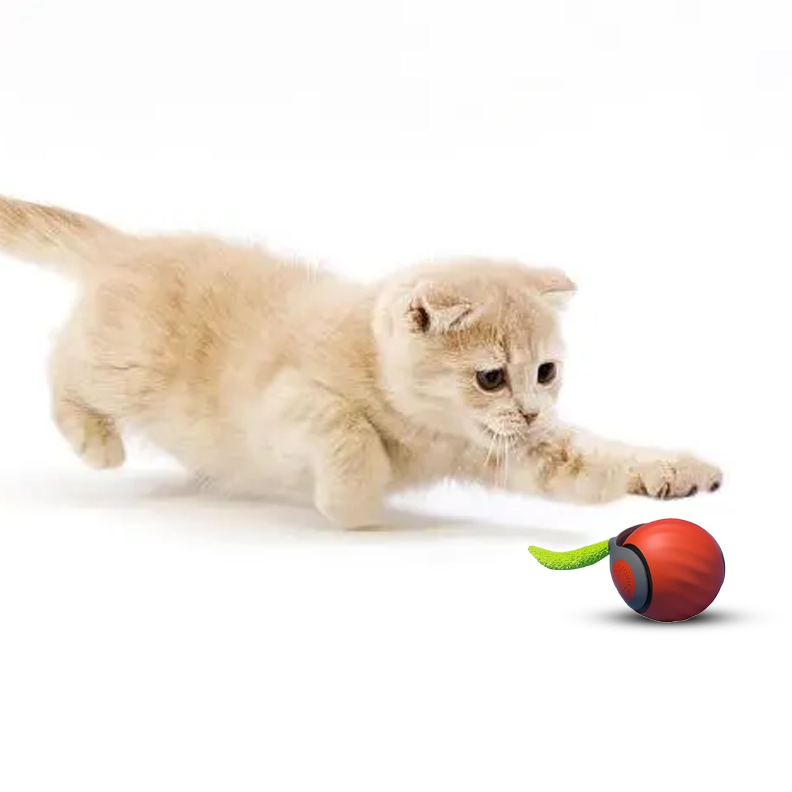 Cat Toy, Interactive Cat Toy for Indoor Cats, Automatic Moving Cat Toy ...